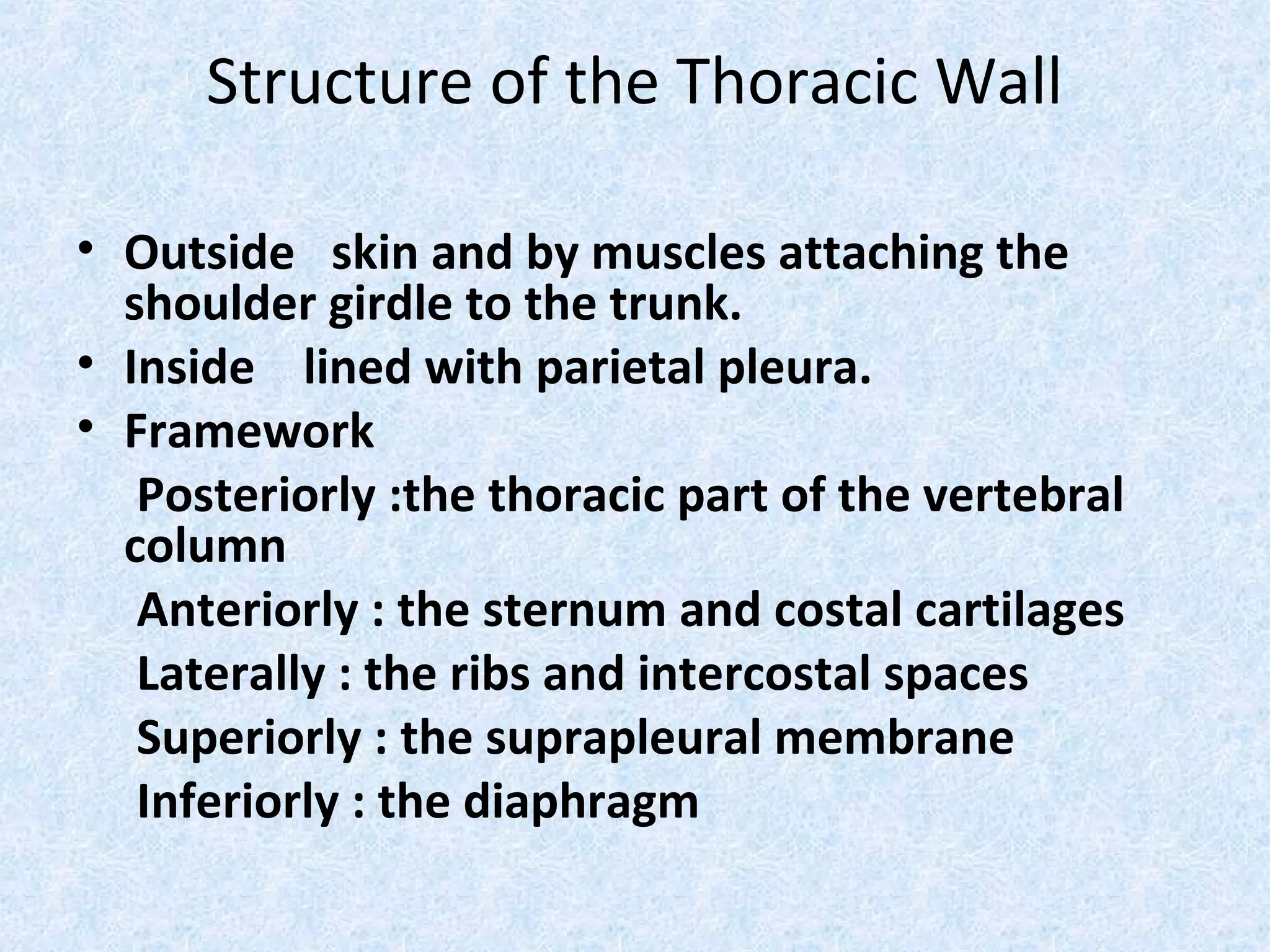 thoracic wall | PPT | Death, Injury, or Military Conflict | Sensitive ...