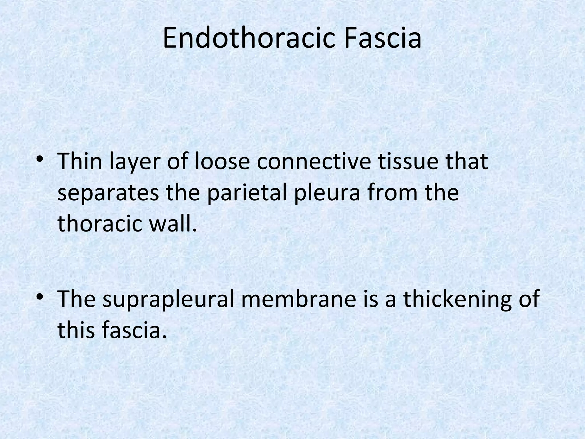 thoracic wall | PPT | Death, Injury, or Military Conflict | Sensitive ...