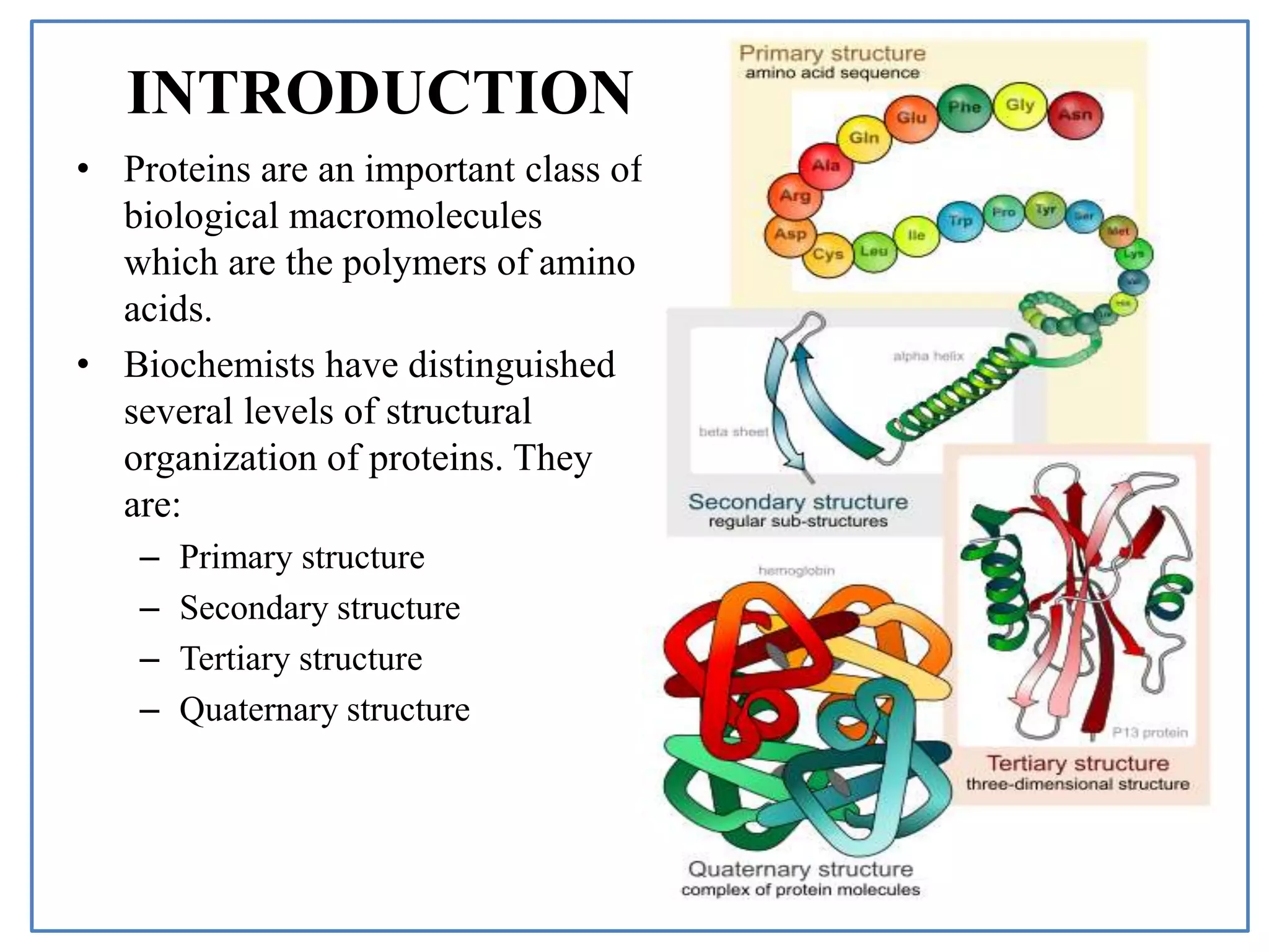 structure of proteins | PPTX