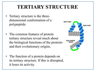 structure of proteins | PPTX