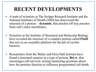 structure of proteins | PPTX