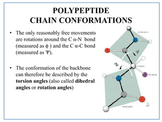 structure of proteins | PPTX