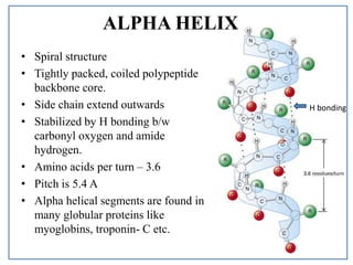structure of proteins | PPTX