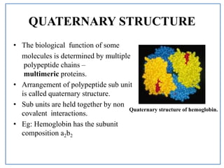 structure of protins | PPTX