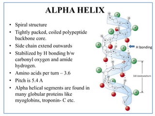 structure of protins | PPTX