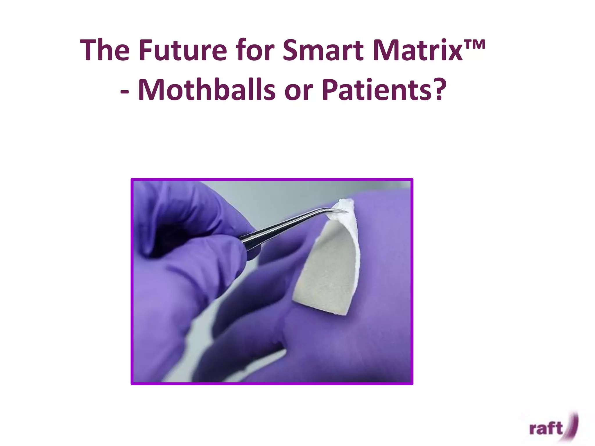 RAFT & Smart Matrix - Leonor Stjepic | PPTX