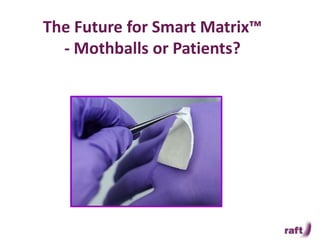 RAFT & Smart Matrix - Leonor Stjepic | PPTX