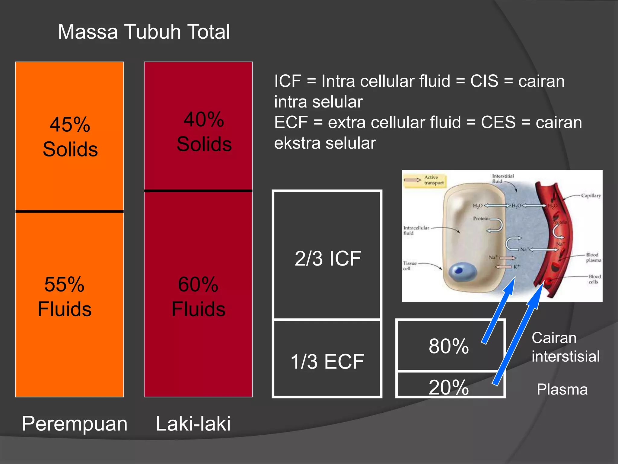Fisiologi Cairan Tubuh.ppt