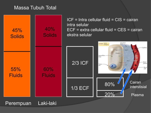 Fisiologi Cairan Tubuh.ppt