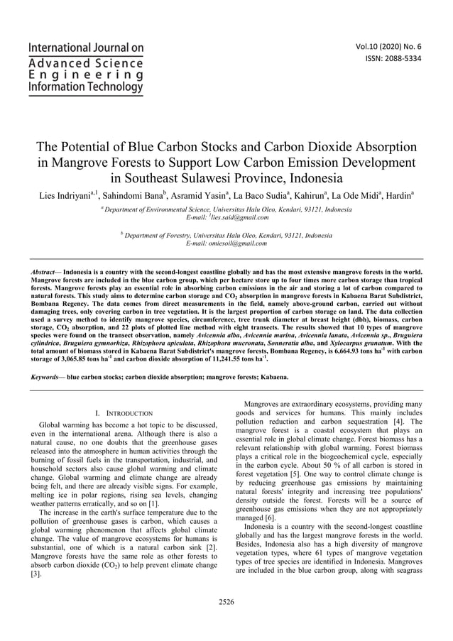 THE POTENTIAL OF BLUE CARBON STOCKS AND CARBON DIOXIDE ABSORPTION IN ...