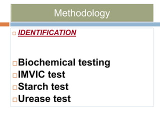 1334008 neha chaurasiya | PPT