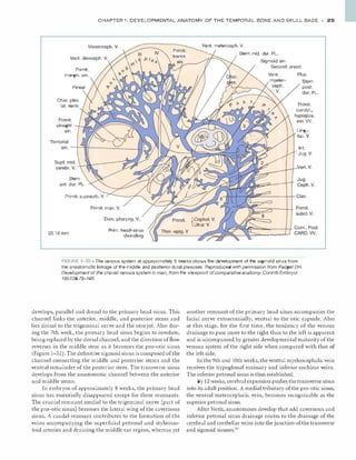 Glasscockshambaugh Surgery Of The Ear 6th Edition A Julianna Gulya | PDF