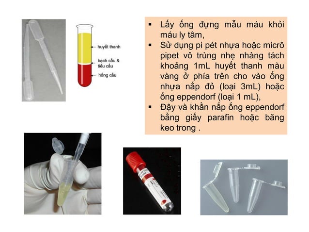 Cac Ki Thuat Lay Mau Mau | PPT