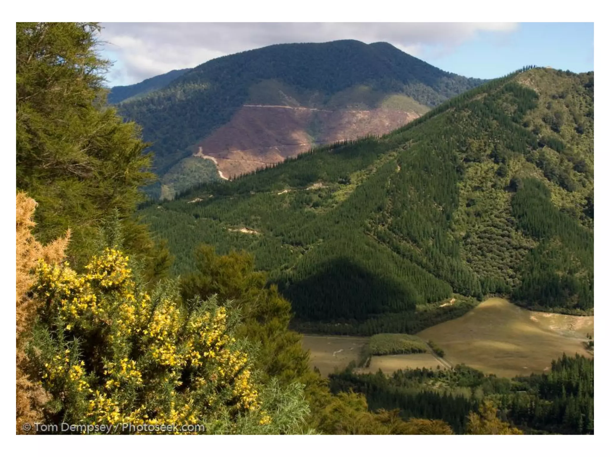 Indigenous knowledge and western science - Ocean Mercier | PPT