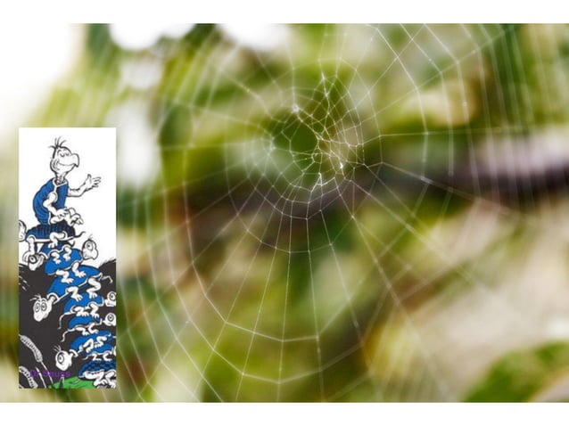 Indigenous knowledge and western science - Ocean Mercier | PPT