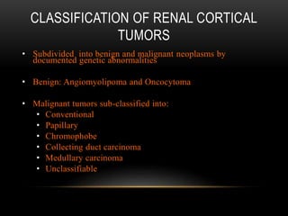 Ablation RCC | PPTX | Digestive Disorders | Diseases and Conditions