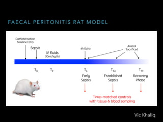 Biomarkers in Critical Care: Mervyn Singer | PPT