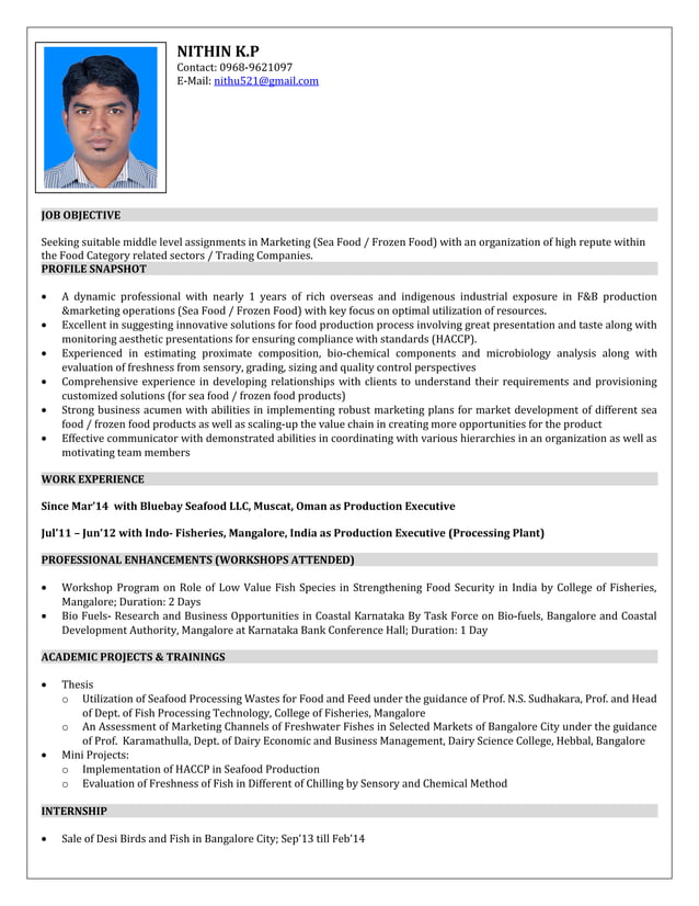 nithin resume | DOC