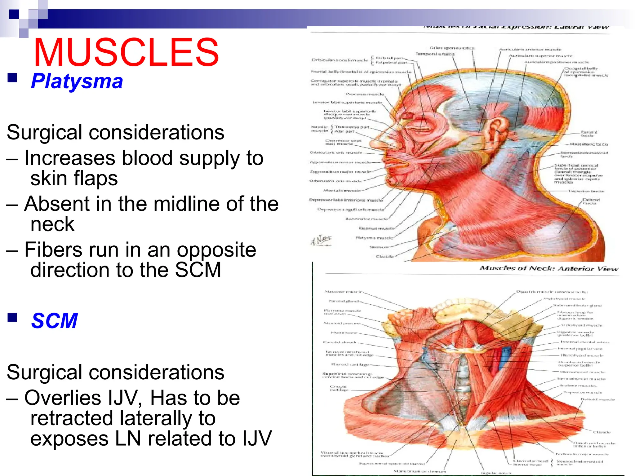 Very easy understanding of Neck-Dissection.ppt