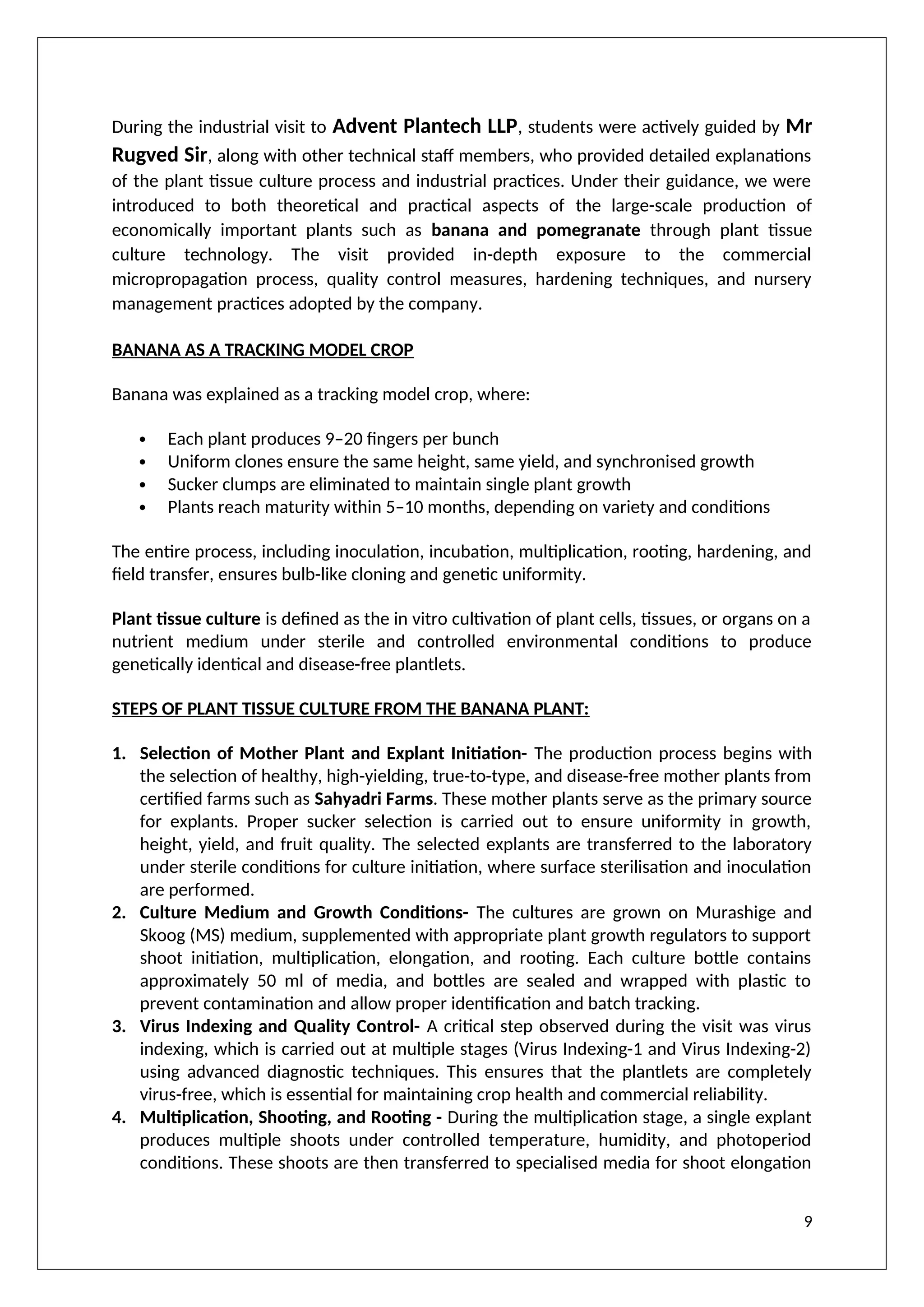 134_Anjali Ray IV Report from mumbai to saputara.docx