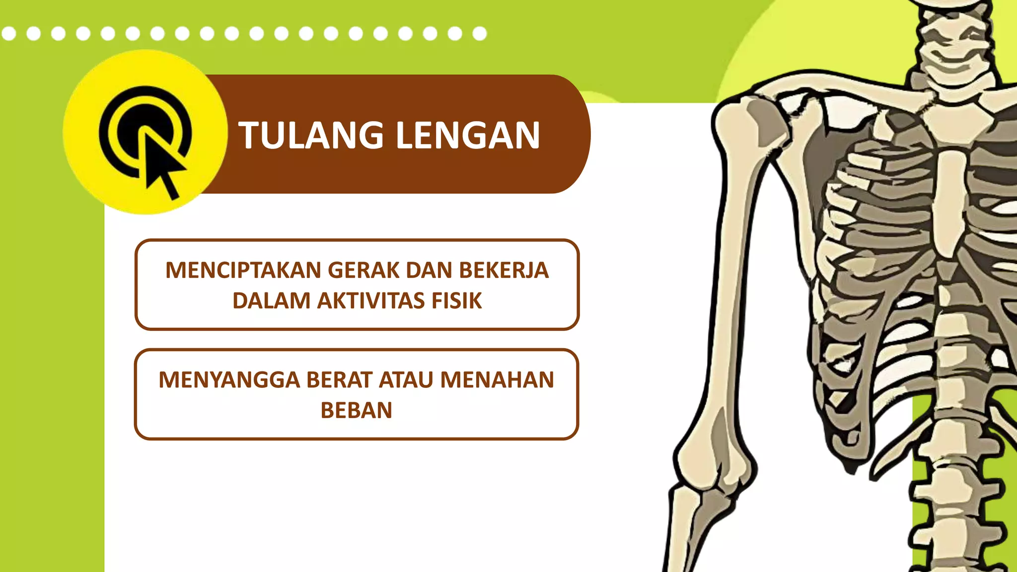 Fungsi tulang pada lengan manusia | smartpoint | PPSX