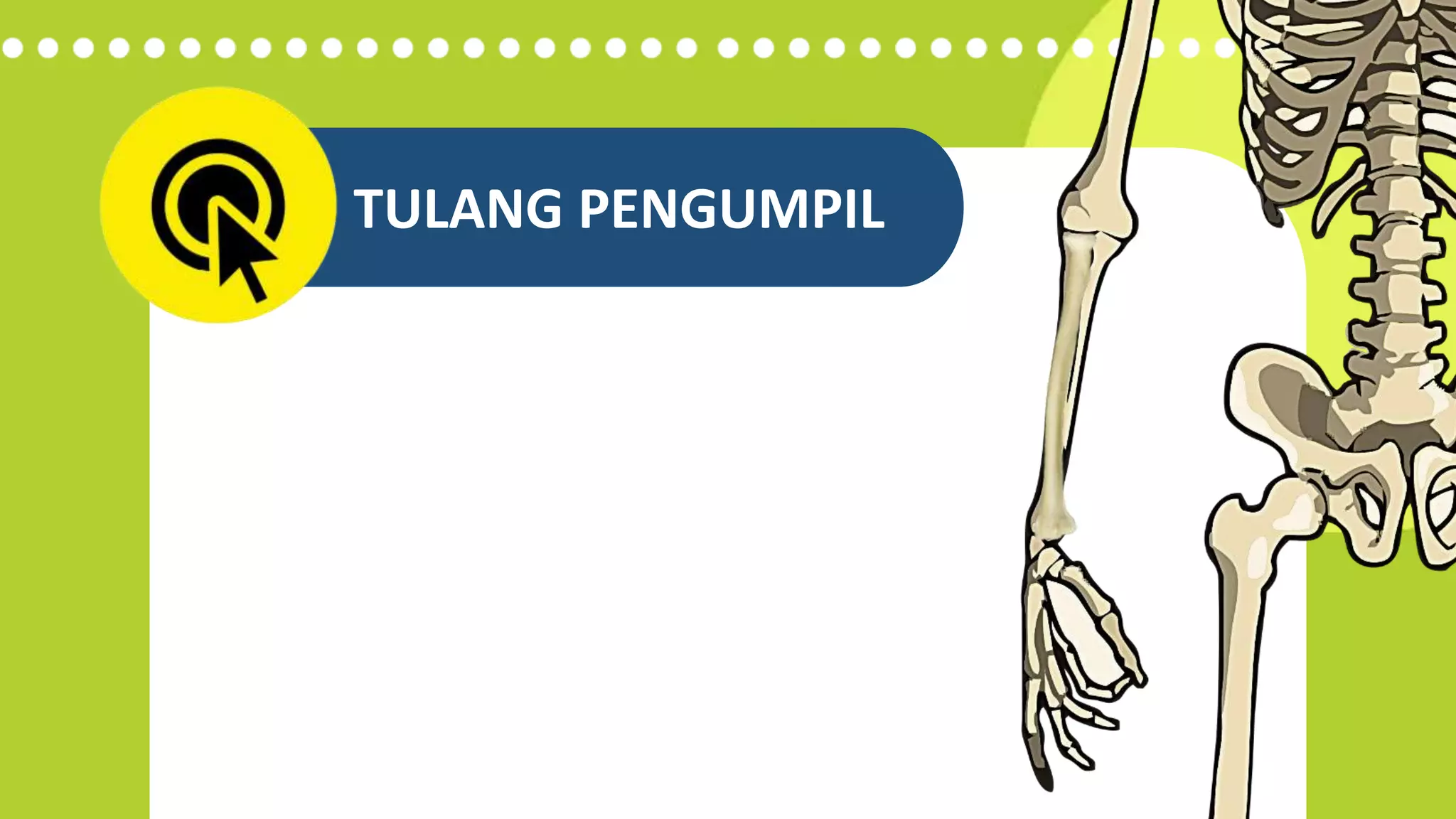 Fungsi tulang pada lengan manusia | smartpoint | PPSX