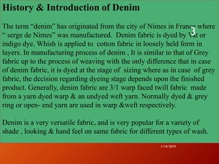 135041 denim | PPTX