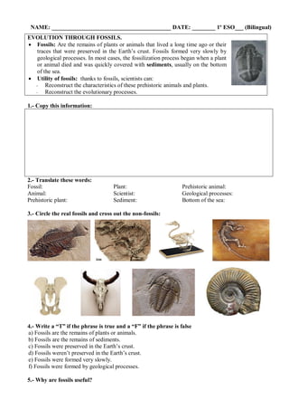 UNIT 09.- THE BIODIVERSITY AND THEIR CLASSIFICATION (Worksheet) | PDF