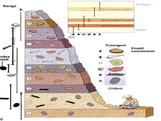 Structural Geology | PPT