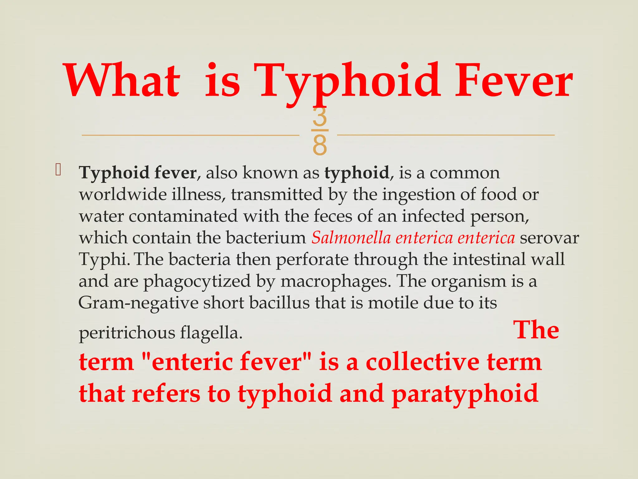 13 TEMPLATE SAMPLE OF TYPHOID FEVER.pptx