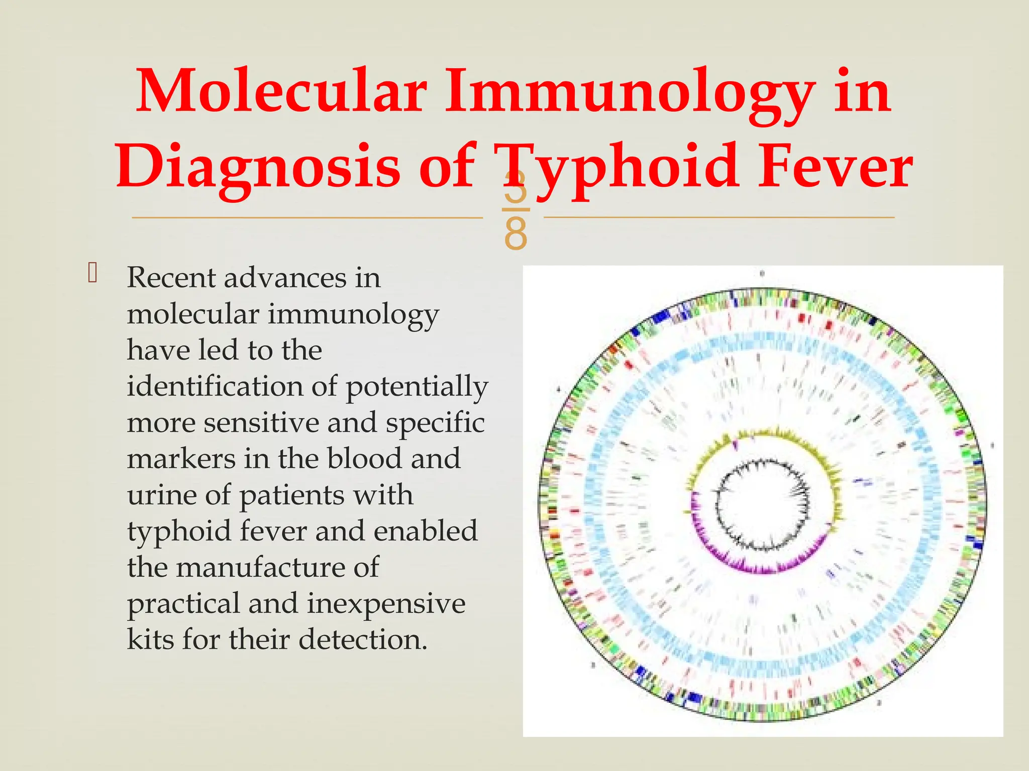 13 TEMPLATE SAMPLE OF TYPHOID FEVER.pptx