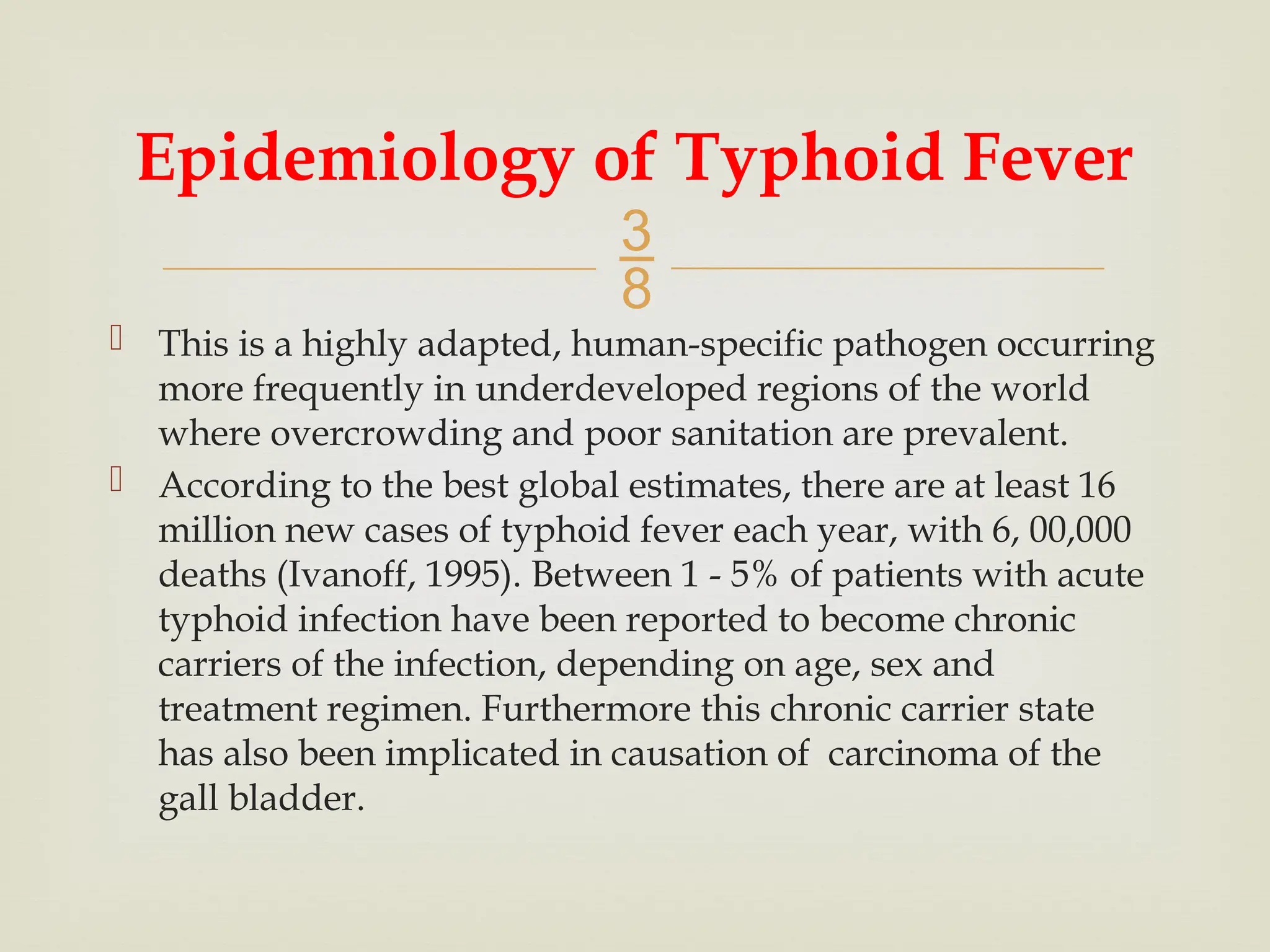 13 TEMPLATE SAMPLE OF TYPHOID FEVER.pptx