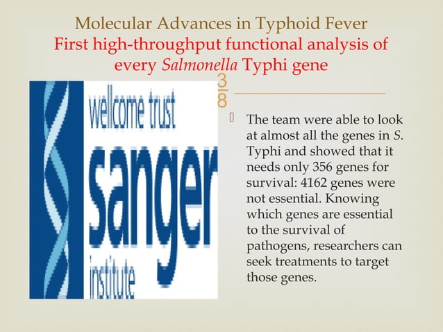 13 TEMPLATE SAMPLE OF TYPHOID FEVER.pptx