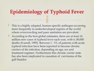 13 TEMPLATE SAMPLE OF TYPHOID FEVER.pptx