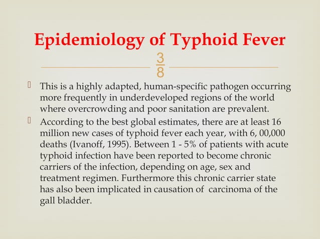 13 TEMPLATE SAMPLE OF TYPHOID FEVER.pptx