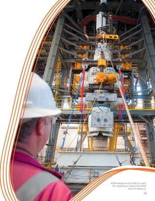 13 5/8-15K Subsea Well Cap(Capping Stack) - Worldwide Oilfield Machine ...