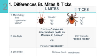 House Dust Mites | PPTX