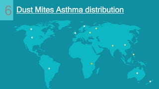 House Dust Mites | PPTX