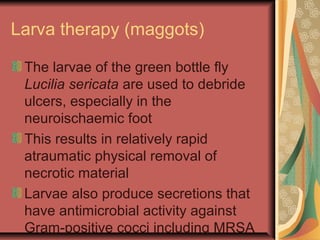 1362571268 anatomy and spread of foot infections | PPT