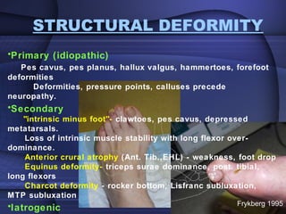 1362571522 biomechanics india brief | PPS
