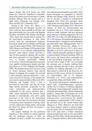 The Biology of the Avian Respiratory System Evolution Development ...