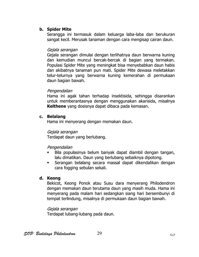 Philodendron Selloum SOP | PDF