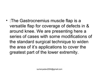 gastrocnemius flap | PPT
