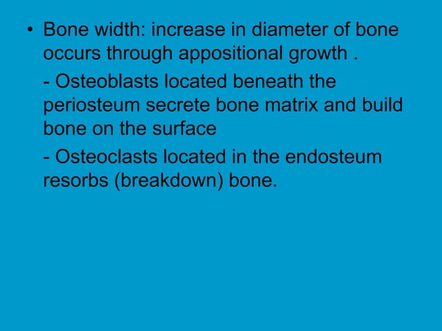 Bone Histology13732720 Bone Histology.ppt