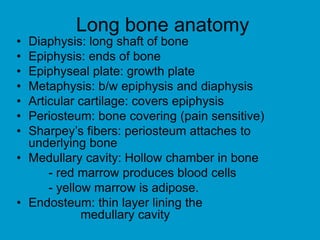 Bone Histology13732720 Bone Histology.ppt