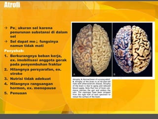 jejas adaptasi dan kematian sel presentasi.ppt