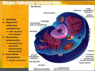 jejas adaptasi dan kematian sel presentasi.ppt