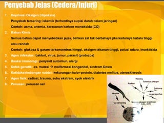 jejas adaptasi dan kematian sel presentasi.ppt