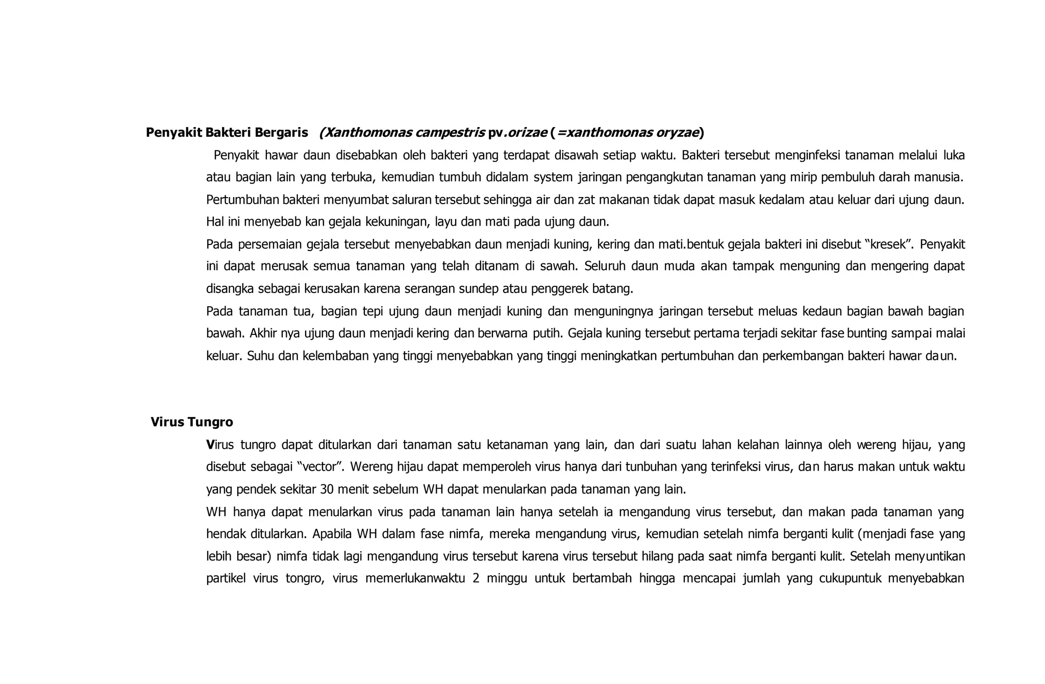 137870072 identifikasi-opt | DOCX