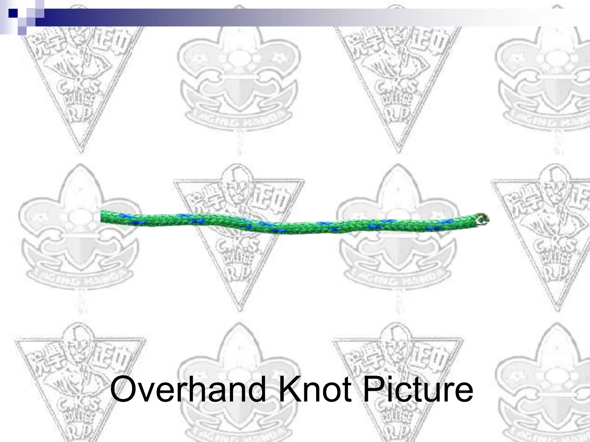 basic knot tying re uploaded file to download | PPT